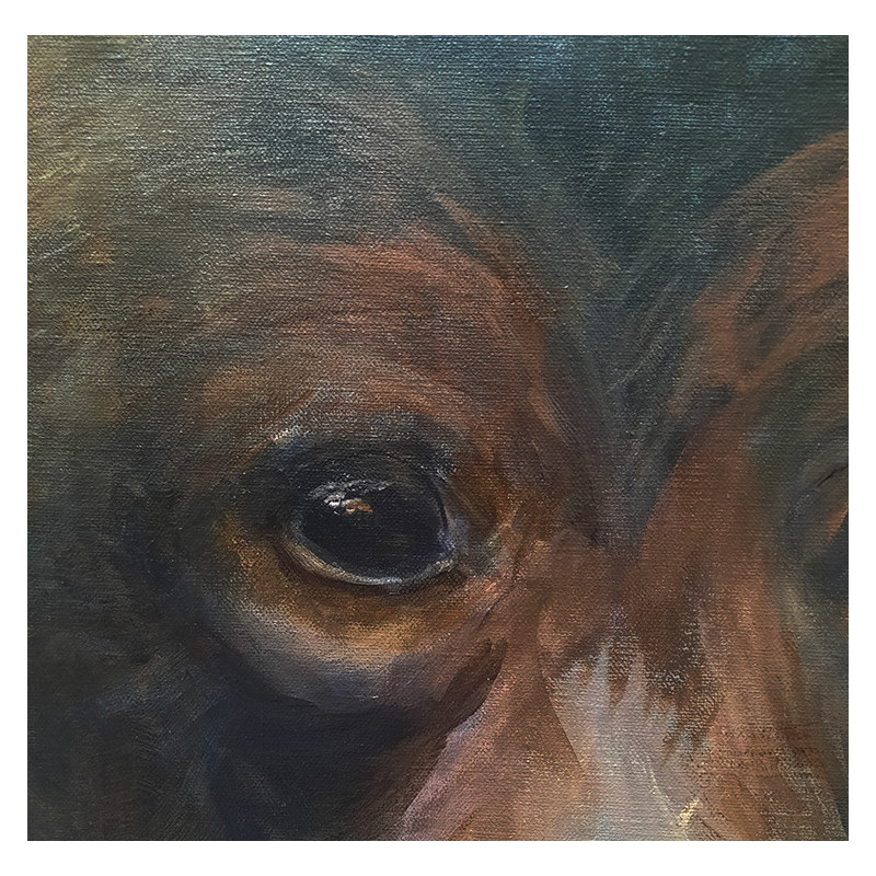 Bear portrait painting on canvas by Marike Koot, contemporary artist