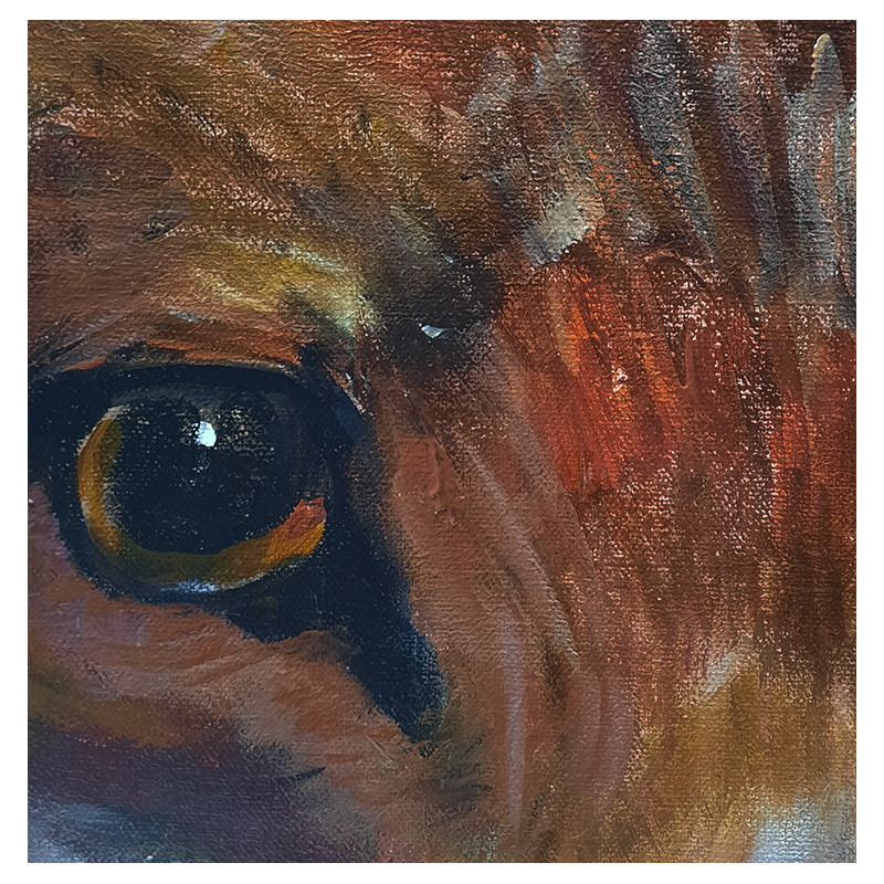 Zorro portrait painting by M. Koot, contemporary artist. Animal painting