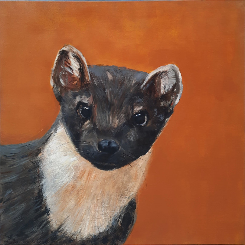 Pine Marten portrait painting on canvas by Marike Koot artist